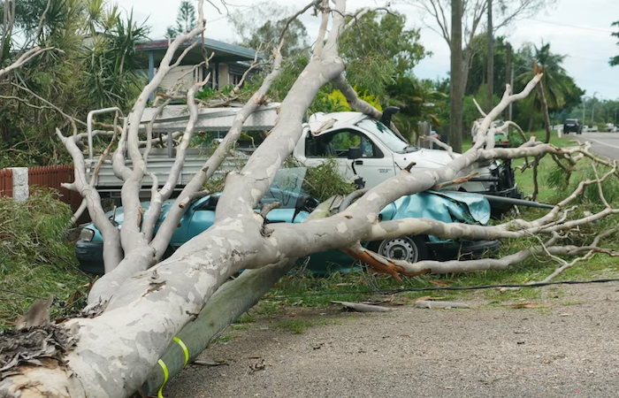 Cyclone en Australie, records de douceur en Europe et en Amérique... l ...