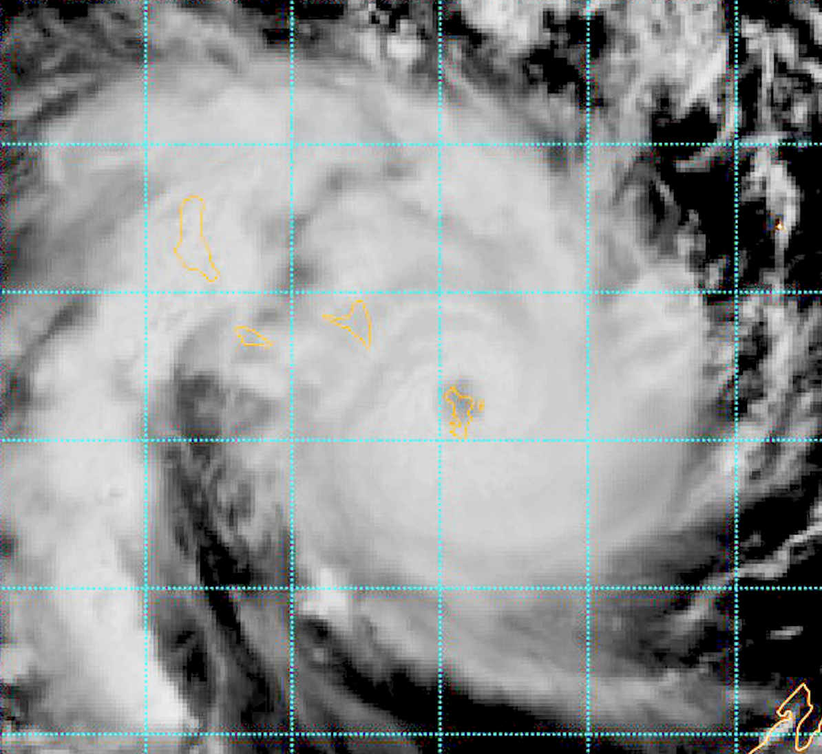 Chido : le pire cyclone connu à Mayotte depuis un siècle 14/12/2024