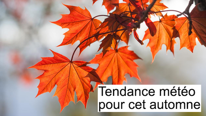 Quelle tendance météo pour cet automne en France ? 20/09/2025